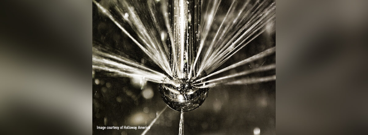 Choosing the Right Spray Devices for Your Fermentation Project—Four ...