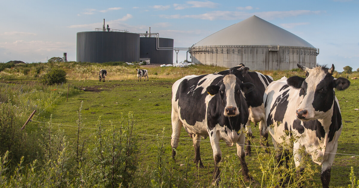 Staying Ahead of the Evolving RNG Landscape - Merrick